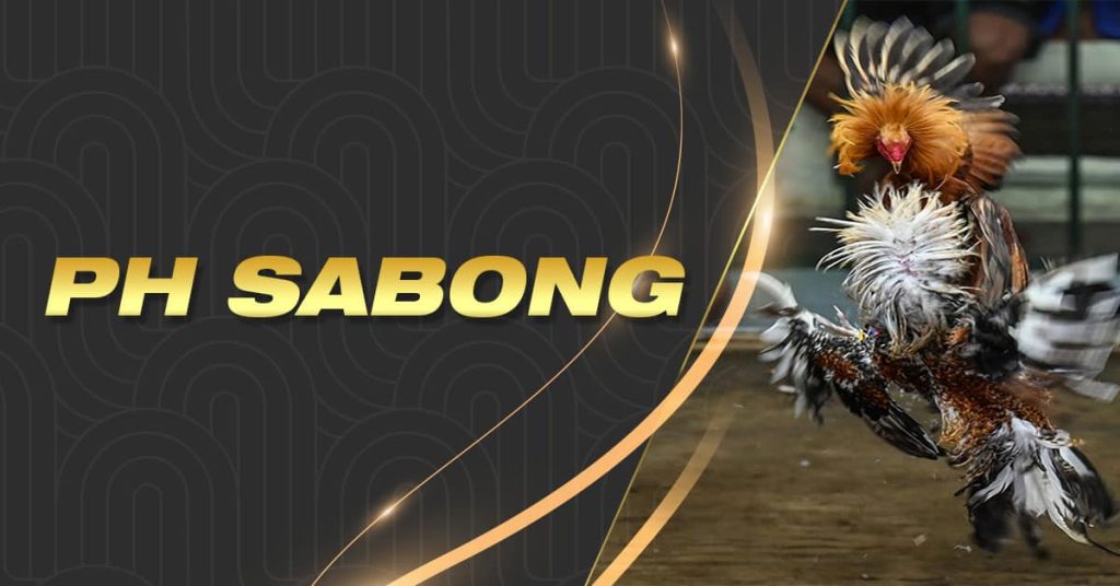 Why Sabong International Is The Ultimate Experience For Cockfighting ...